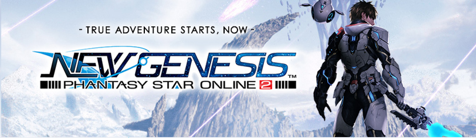 Phantasy Star Online 2 : NGS Review | TehProBot